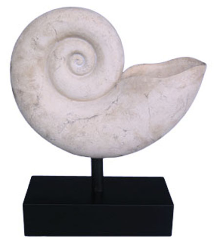 Large nautilus shell on base