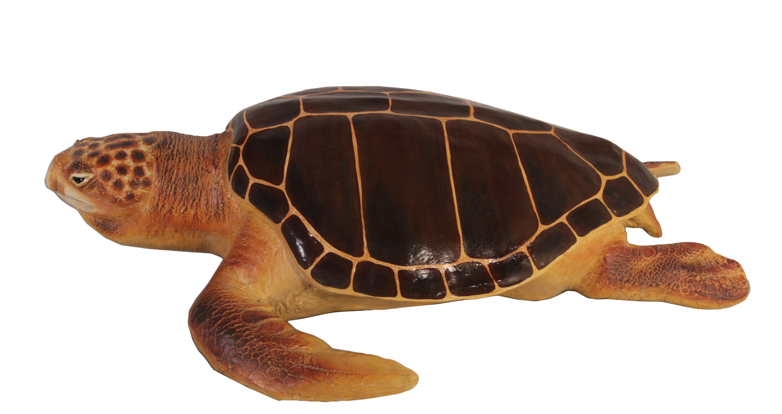 Loggerhead Turtle (Large)
