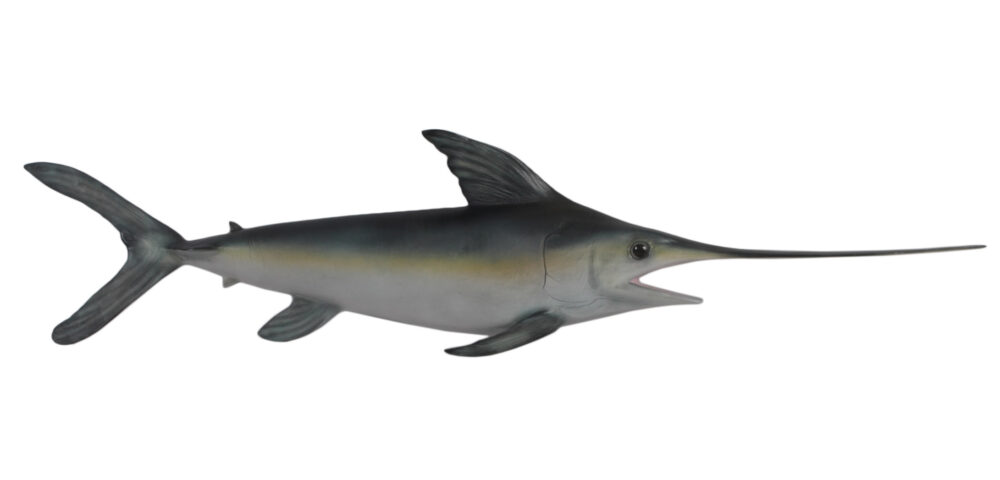 BROADBILL SWORDFISH