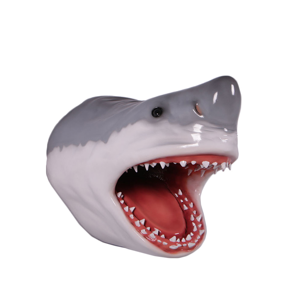 Shark Head Wall Mount (Medium)