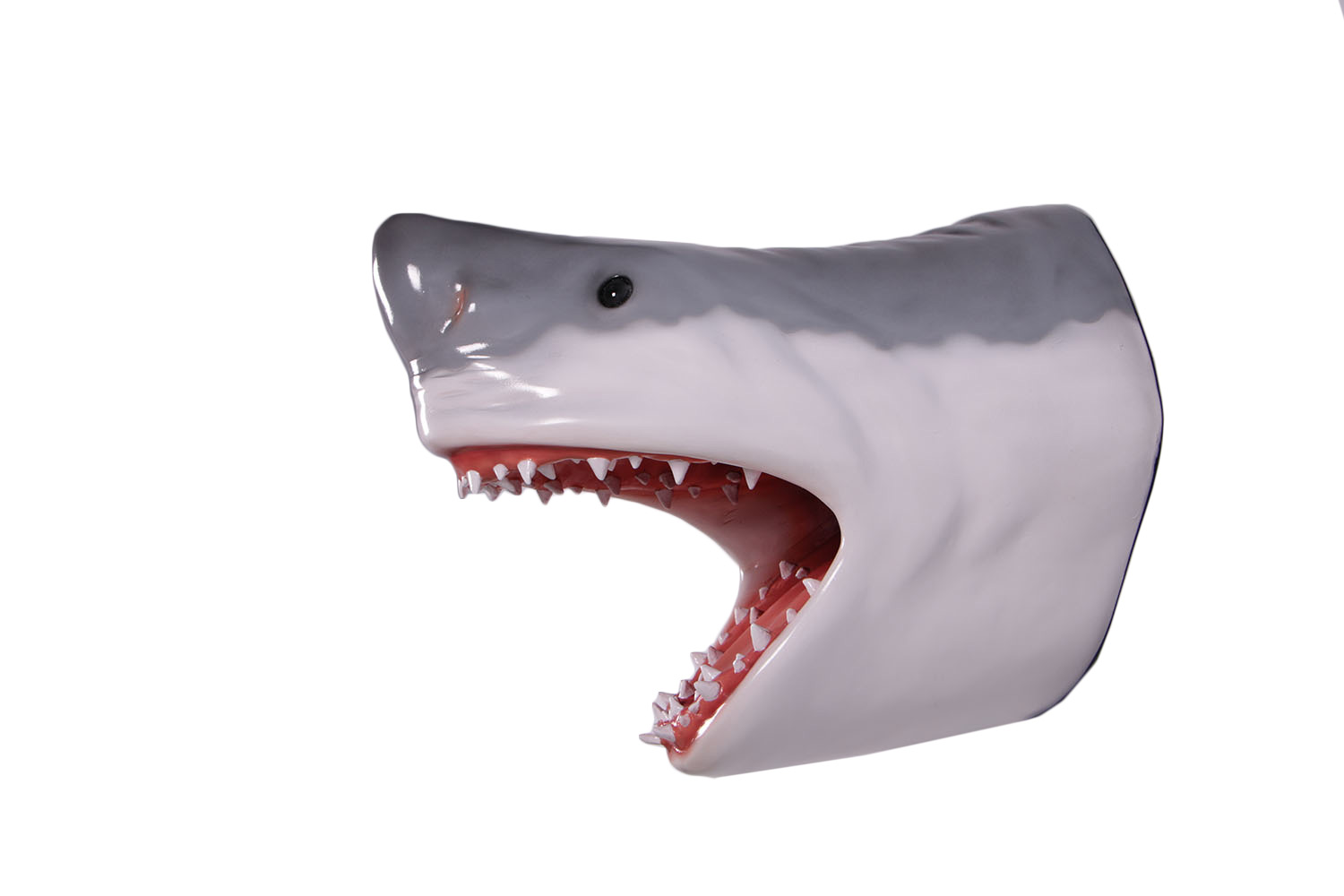Shark Head Wall Mount (Medium)