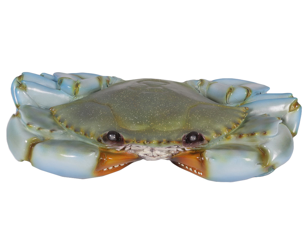 Blue Crab Wall Decor