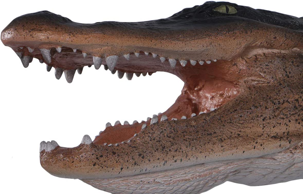 Alligator Head Large Trophy Wall Sculpture Decor